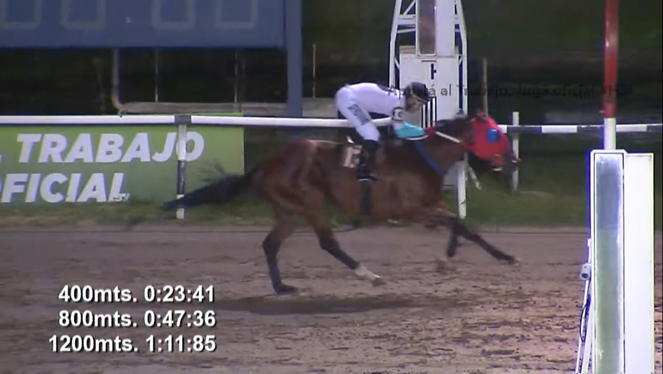 Joy Mirasol por varios en “sani” - Pasión Turfística